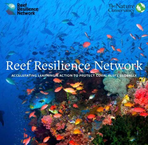 About Us | Reef Resilience
