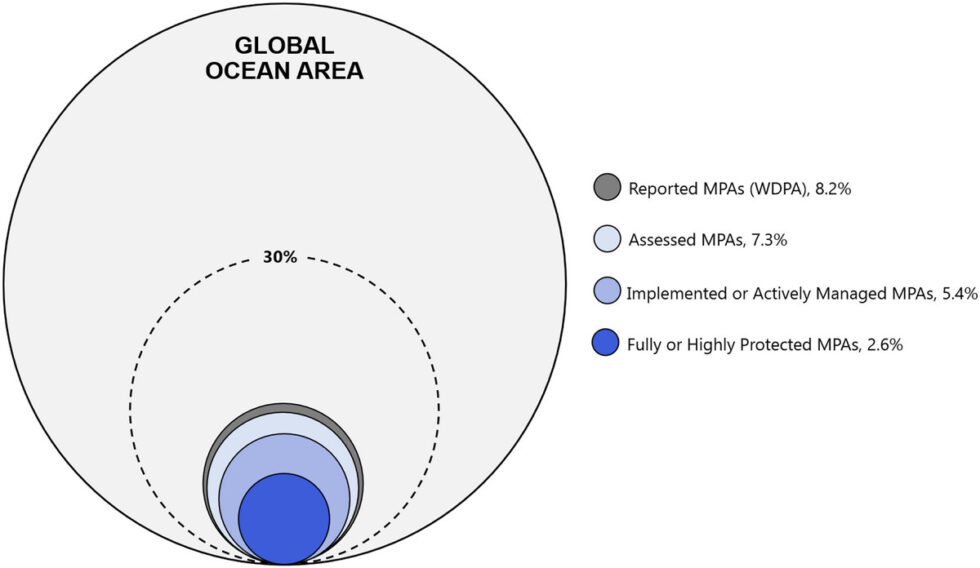 Ocean protection quality is lagging behind quantity: Applying a ...