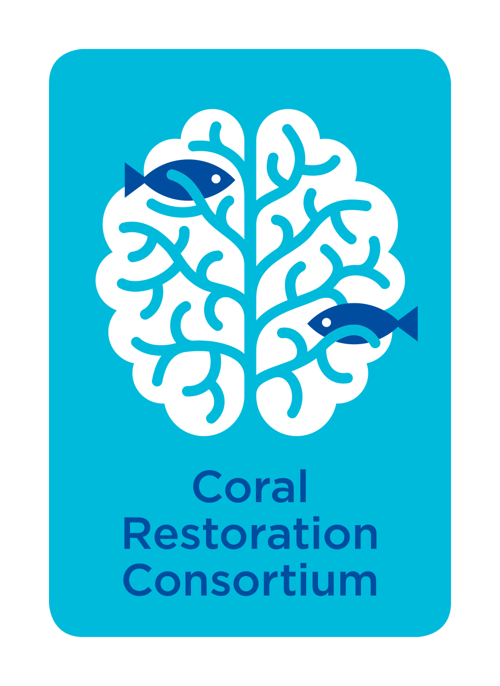 New Guidance on Coral Reef Restoration Webinars | Reef Resilience Network