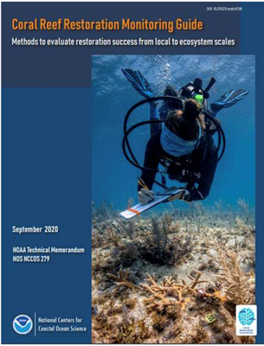 Coral Reef Restoration Monitoring | Reef Resilience Network