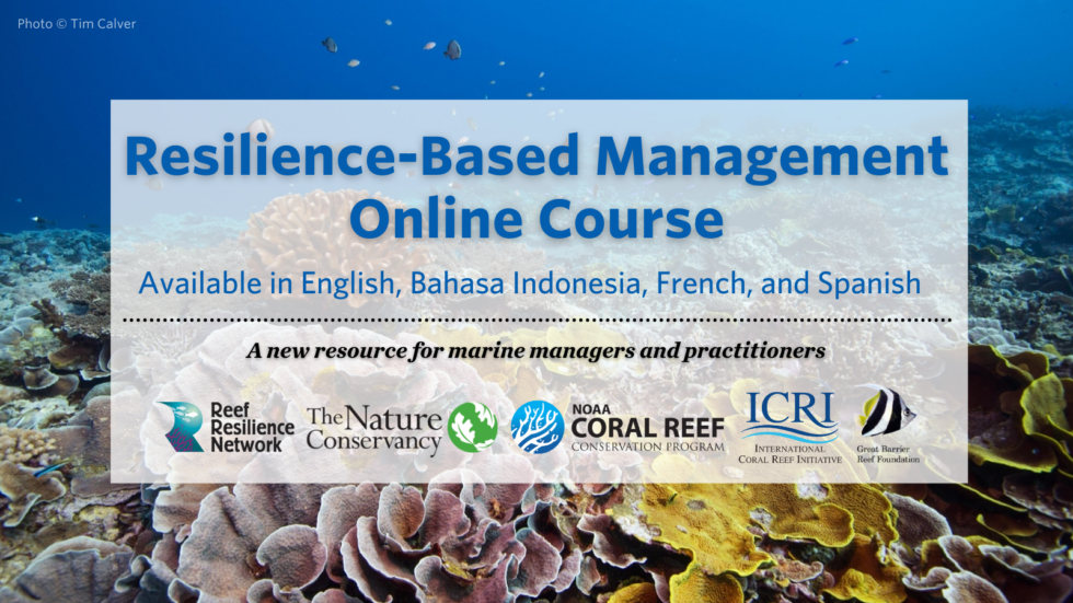 Now Available in Four Languages: Resilience-Based Management Online ...