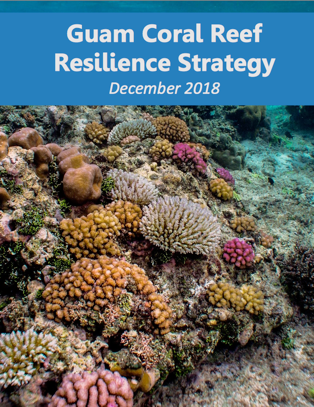 RBM in Practice | Reef Resilience Network