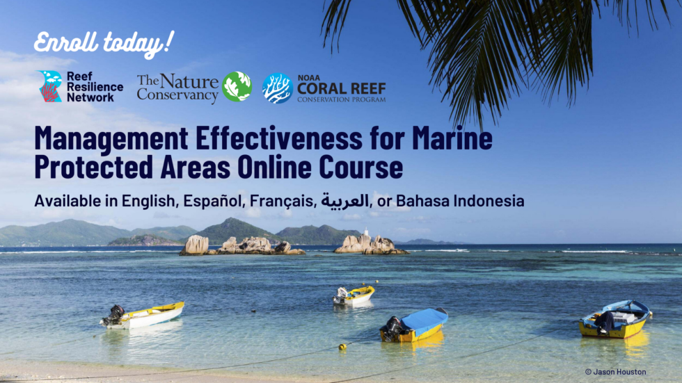 New Course Available in 5 Languages: Management Effectiveness for ...