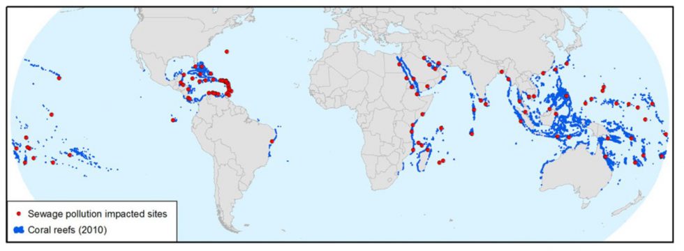 Wastewater Pollution Introduction | Reef Resilience Network