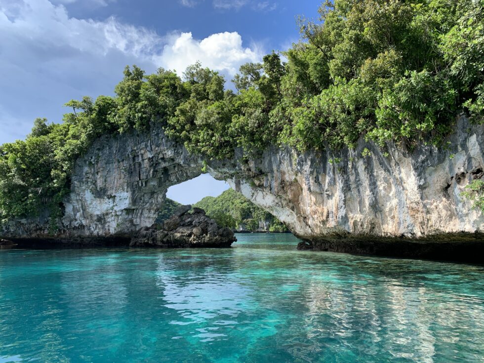 Resilient Reefs Initiative (RRI) | Reef Resilience Network