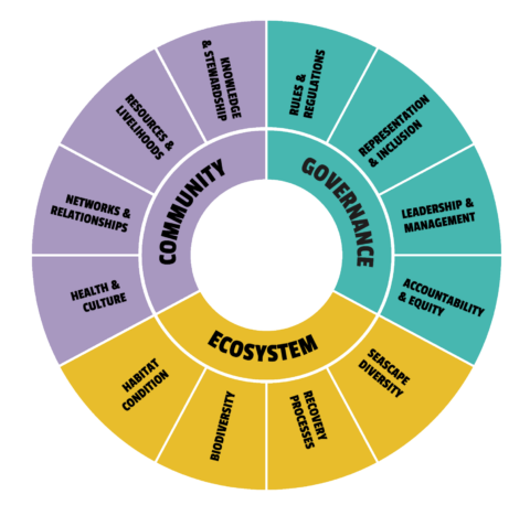 Resilient Reefs Initiative (RRI) | Reef Resilience Network