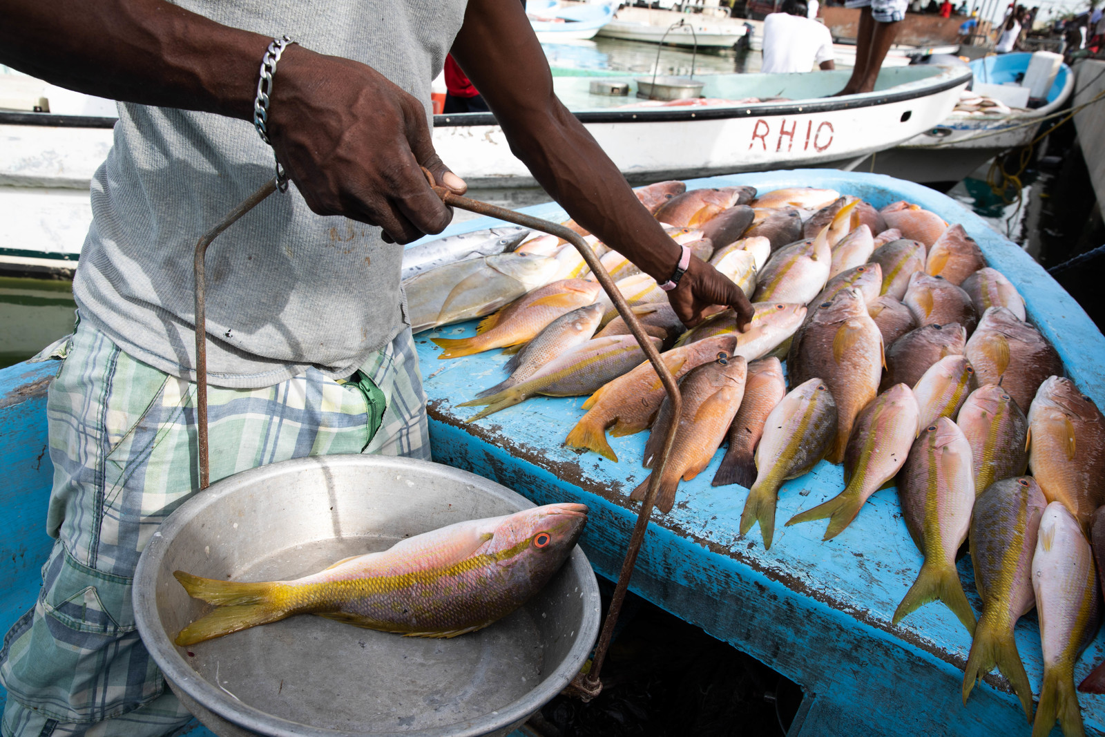 What is RBM? | Reef Resilience Network