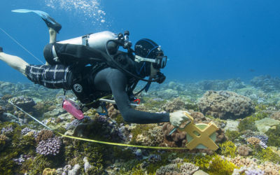 Module | Reef Resilience Network