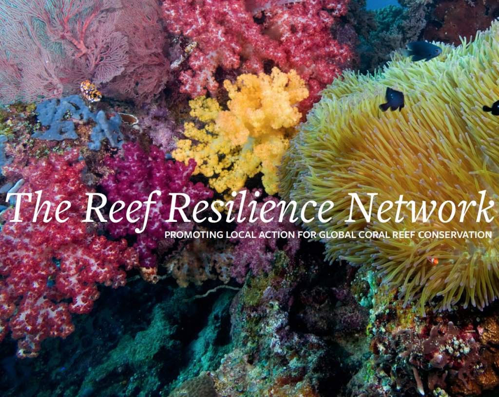 Communication | Reef Resilience