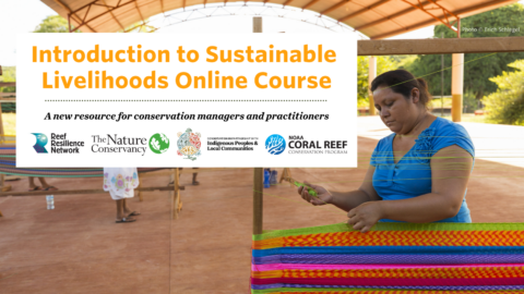 Now Available: Sustainable Livelihoods Online Course | Reef Resilience ...