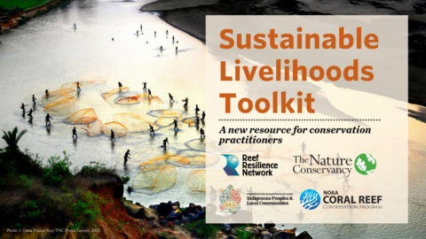 Just Launched: Sustainable Livelihoods Toolkit | Reef Resilience Network
