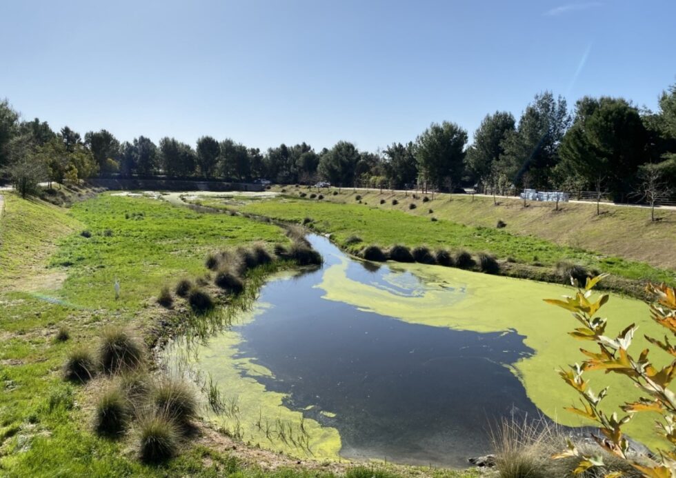 California – Wastewater Pollution | Reef Resilience Network