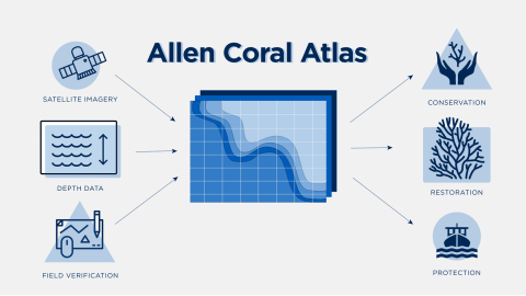 Allen Coral Atlas | Reef Resilience Network