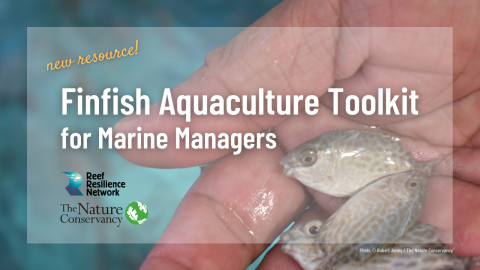 New Resource: Finfish Aquaculture Toolkit | Reef Resilience Network