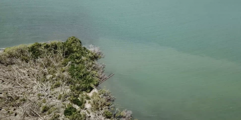 Puerto Rico – Wastewater Pollution | Reef Resilience Network