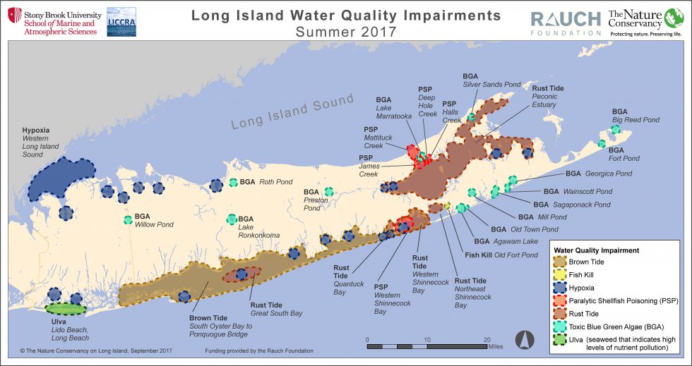 New York – Wastewater Pollution | Reef Resilience Network