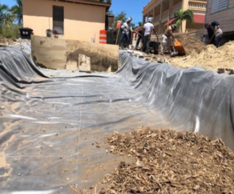 Puerto Rico – Wastewater Pollution | Reef Resilience Network