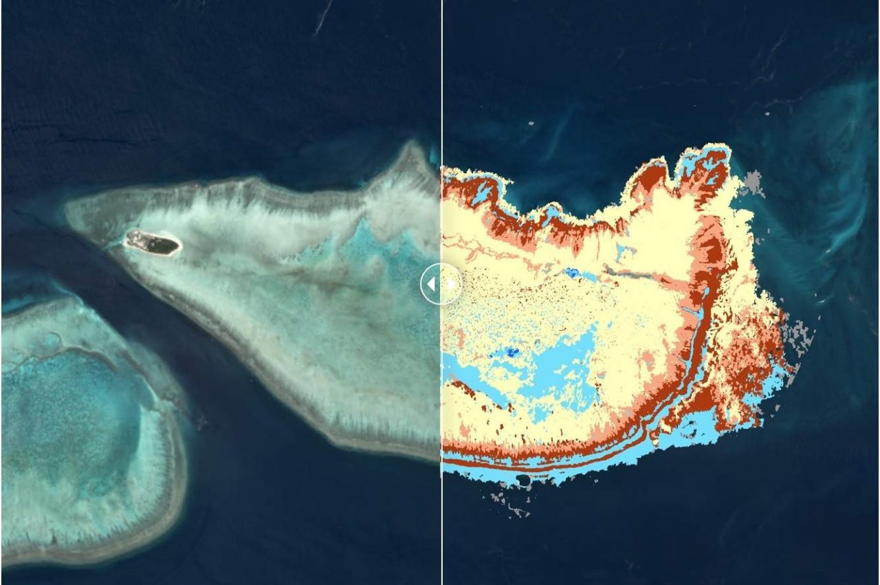 Images to Maps | Reef Resilience Network