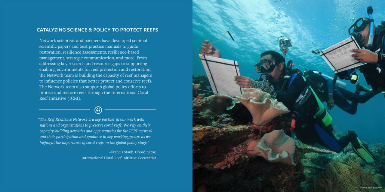 About Us | Reef Resilience Network