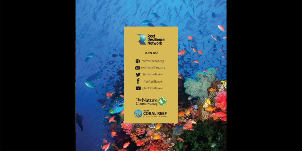 How We Work | Reef Resilience Network