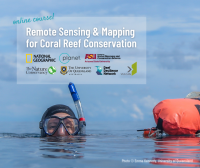 News | Reef Resilience Network